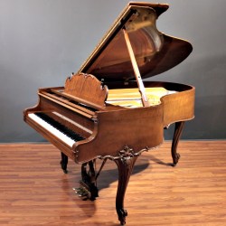 Player Pianos