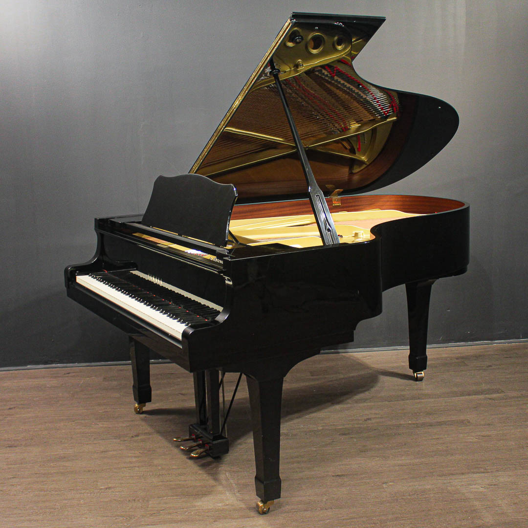 Black Grand Pianos